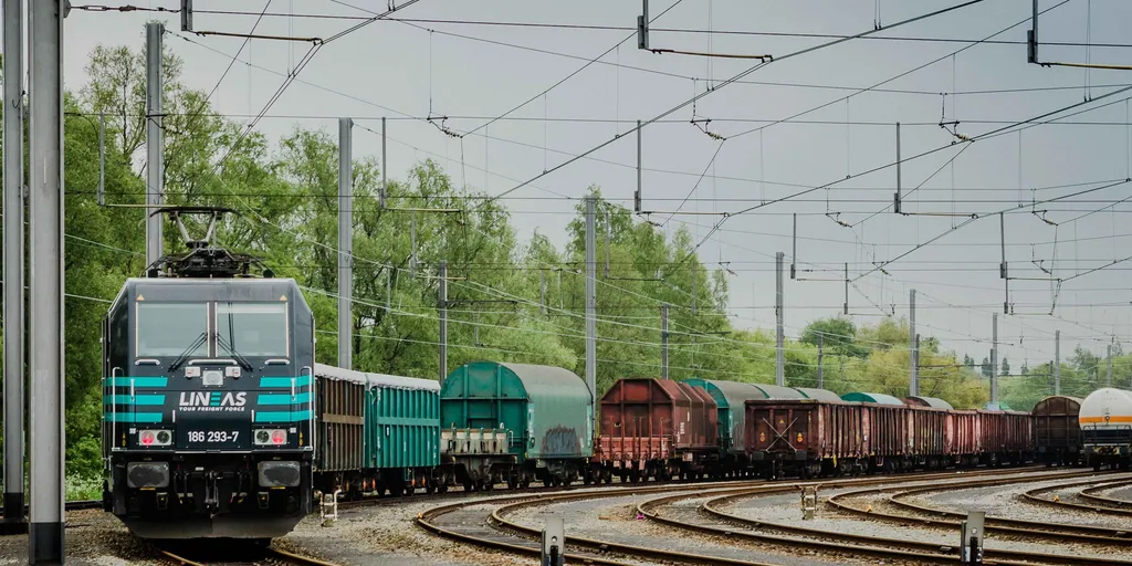 Green Xpress Network breidt uit met Lyon Express - Value chain