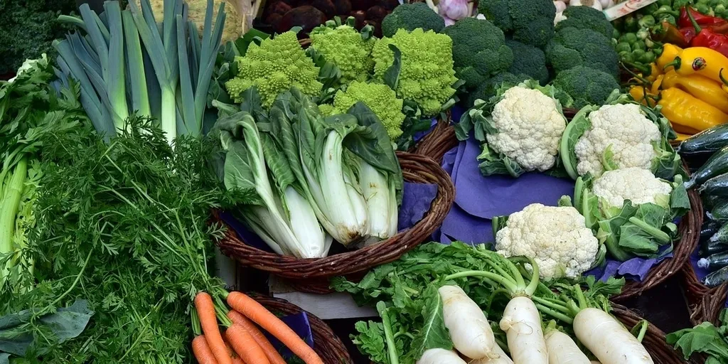 Biologische groothandel Udea gaat live met Astro WMS - Value chain