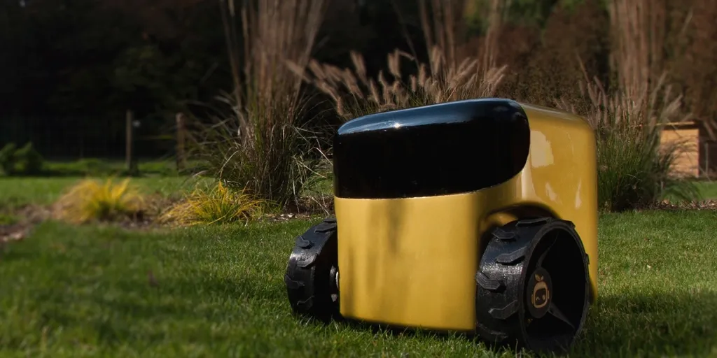 Toadi laat er geen gras over groeien - Value chain