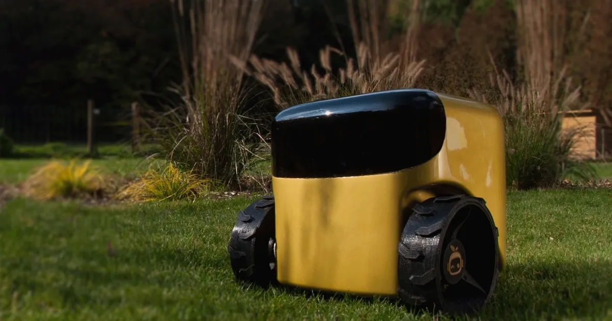 Toadi laat er geen gras over groeien - Value chain