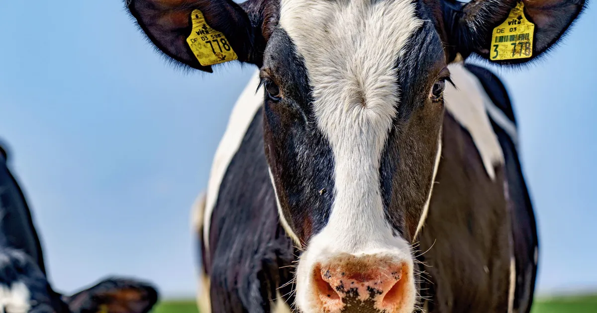 Fullwood Packo NV: “Met QRM en PROPOS gaan we onze doorlooptijd ...