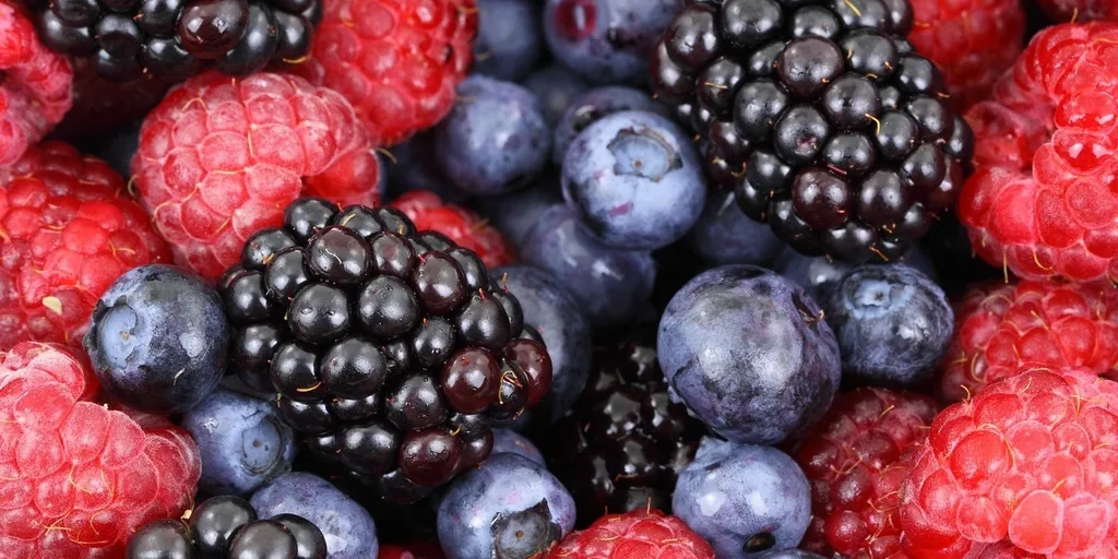 Jacques Remy & Fils optimaliseert levering verse producten met ...