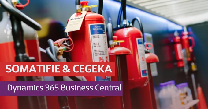 Somatie Fie’s sprong naar de toekomst - Value chain