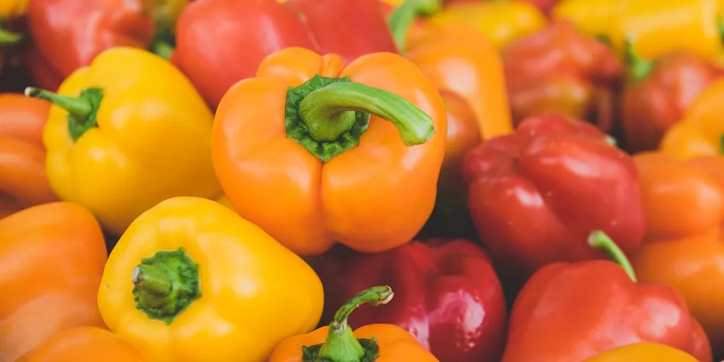 HGT stroomlijnt processen met Aptean Food & Beverage ERP - Value chain